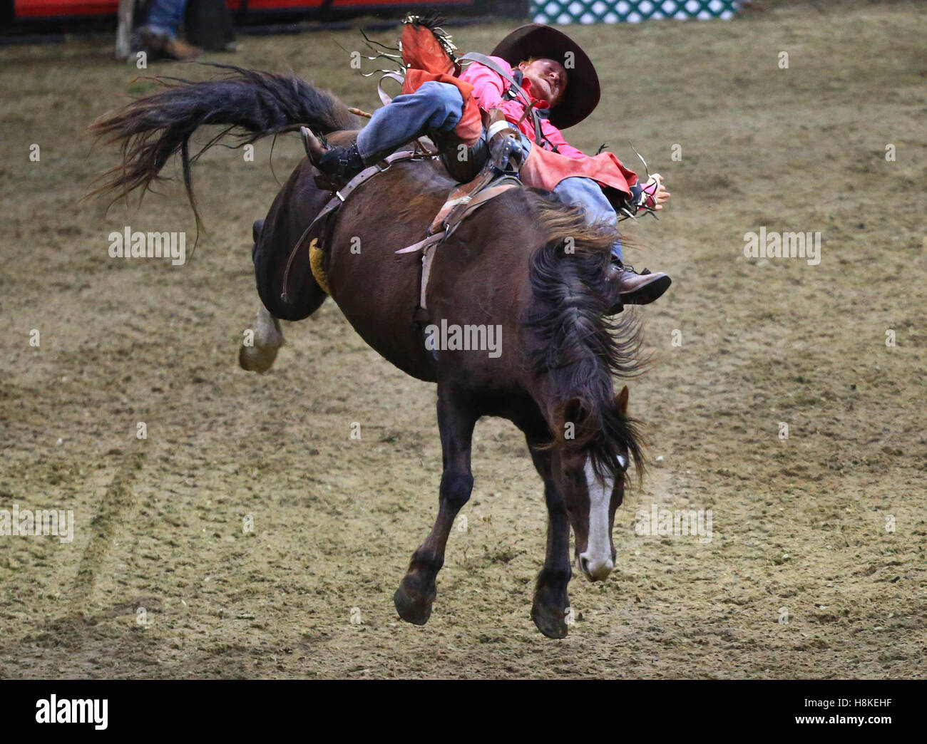 Toronto canada 13th nov 2016 hi-res stock photography and images - Alamy