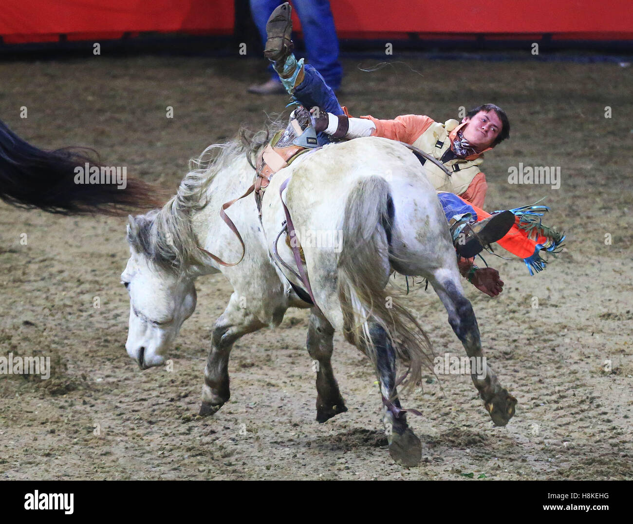 Toronto, Canada. 13th Nov, 2016. Cowboy Tanner Phillips of the United ...