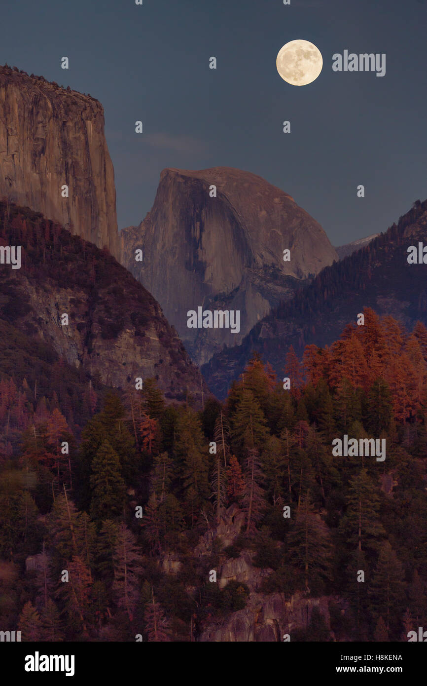 Yosemite National Park, USA. 13th Nov, 2016. Super Moon Rising Over ...