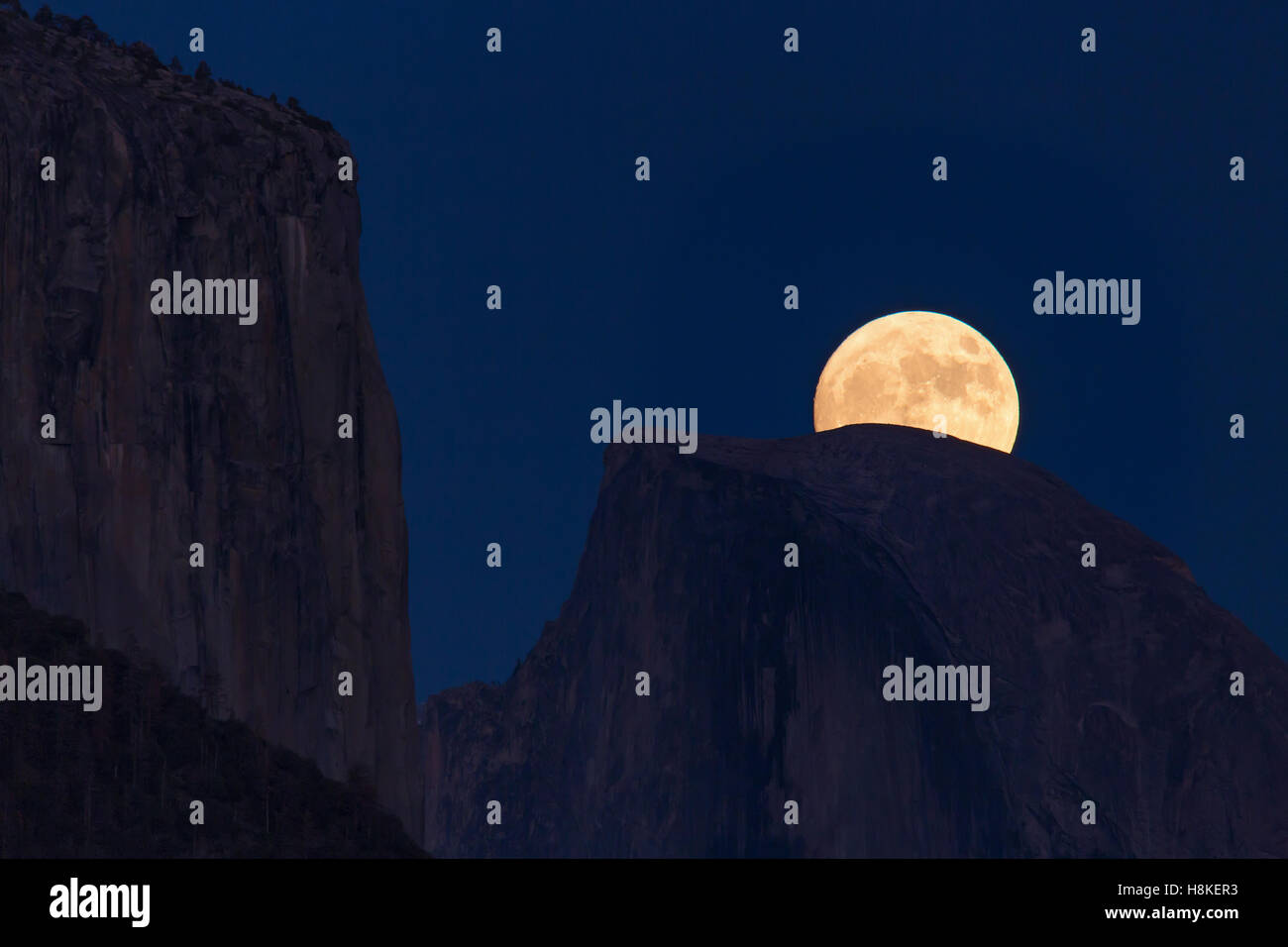 Yosemite National Park, USA. 13th Nov, 2016. Super Moon Rising Over ...