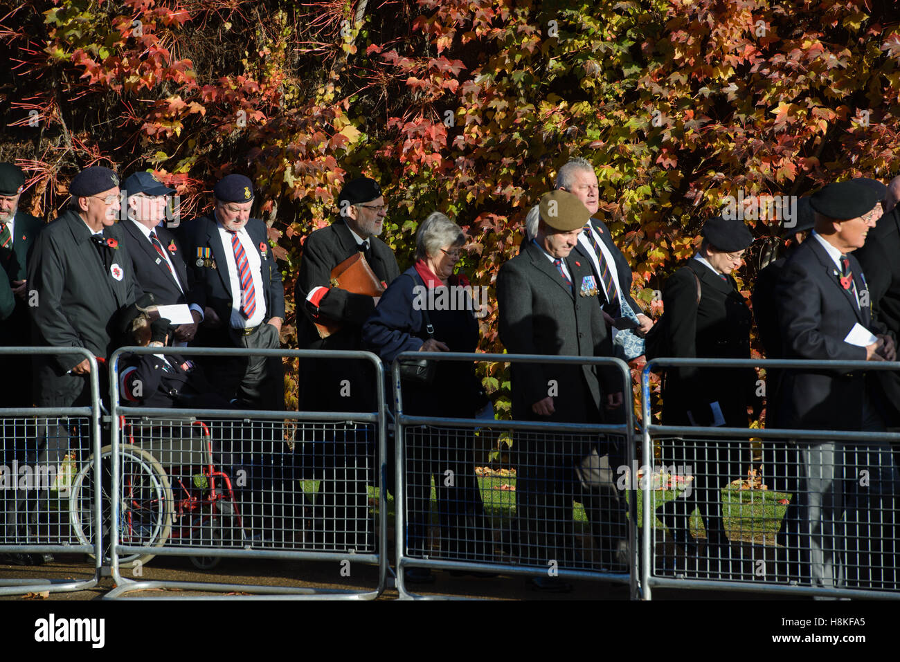 London, England. 13 November 2016. Veterans queuing to enter the ...