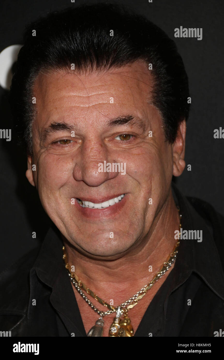 New York, New York, USA. 14th Nov, 2016. Actor CHUCK ZITO attends the ...