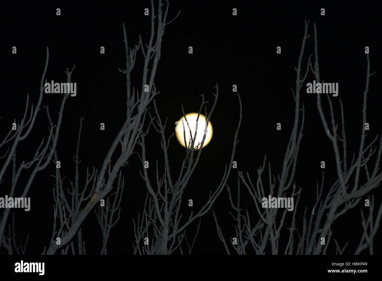 What is a supermoon hi-res stock photography and images - Alamy