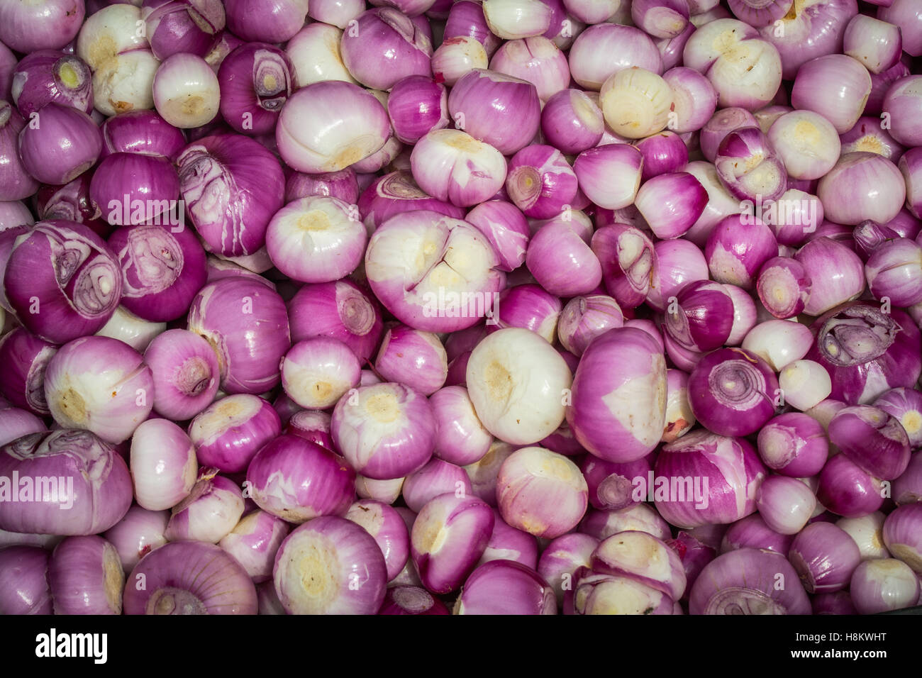 Meki Batu, Ethiopia - Onions harvested from the Fruit and Vegetable ...
