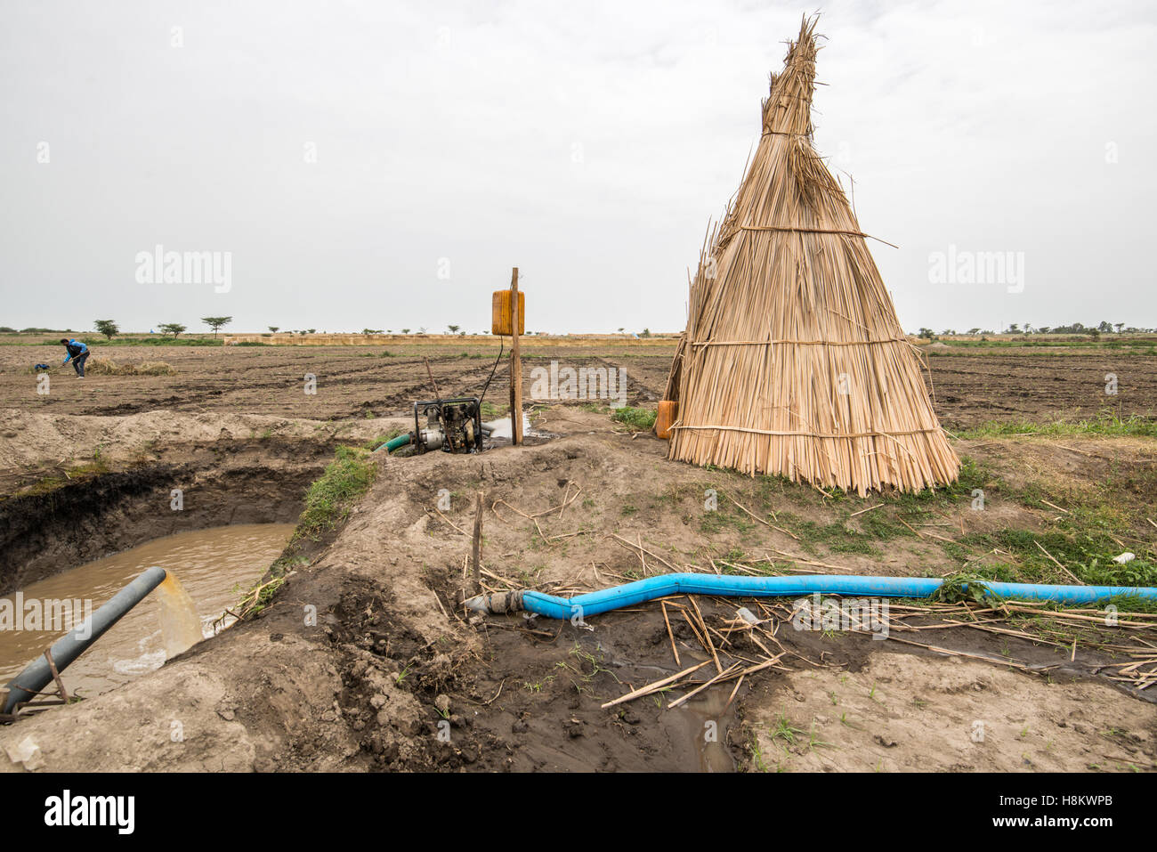 Meki Batu, Ethiopia - Irrigation system for the fields at the Fruit and ...