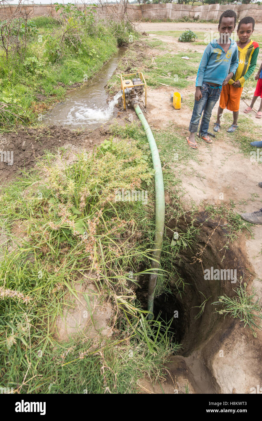 Meki Batu, Ethiopia - Irrigation system for the fields at the Fruit and ...
