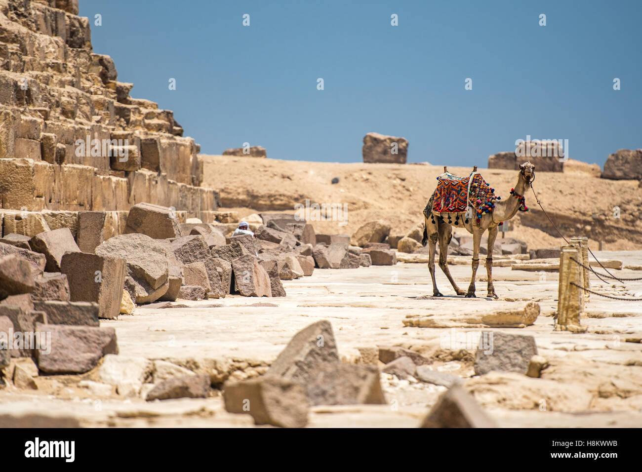 Cairo, Egypt Camel and its rider resting in the desert beside ruble at the base of one of the ...