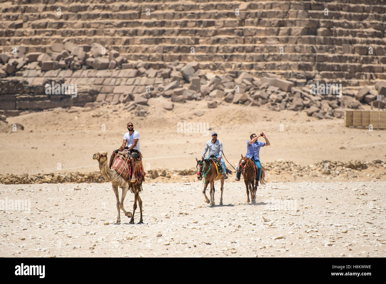 Cairo, Egypt Camel drivers on horseback and a tourist riding a camel ...