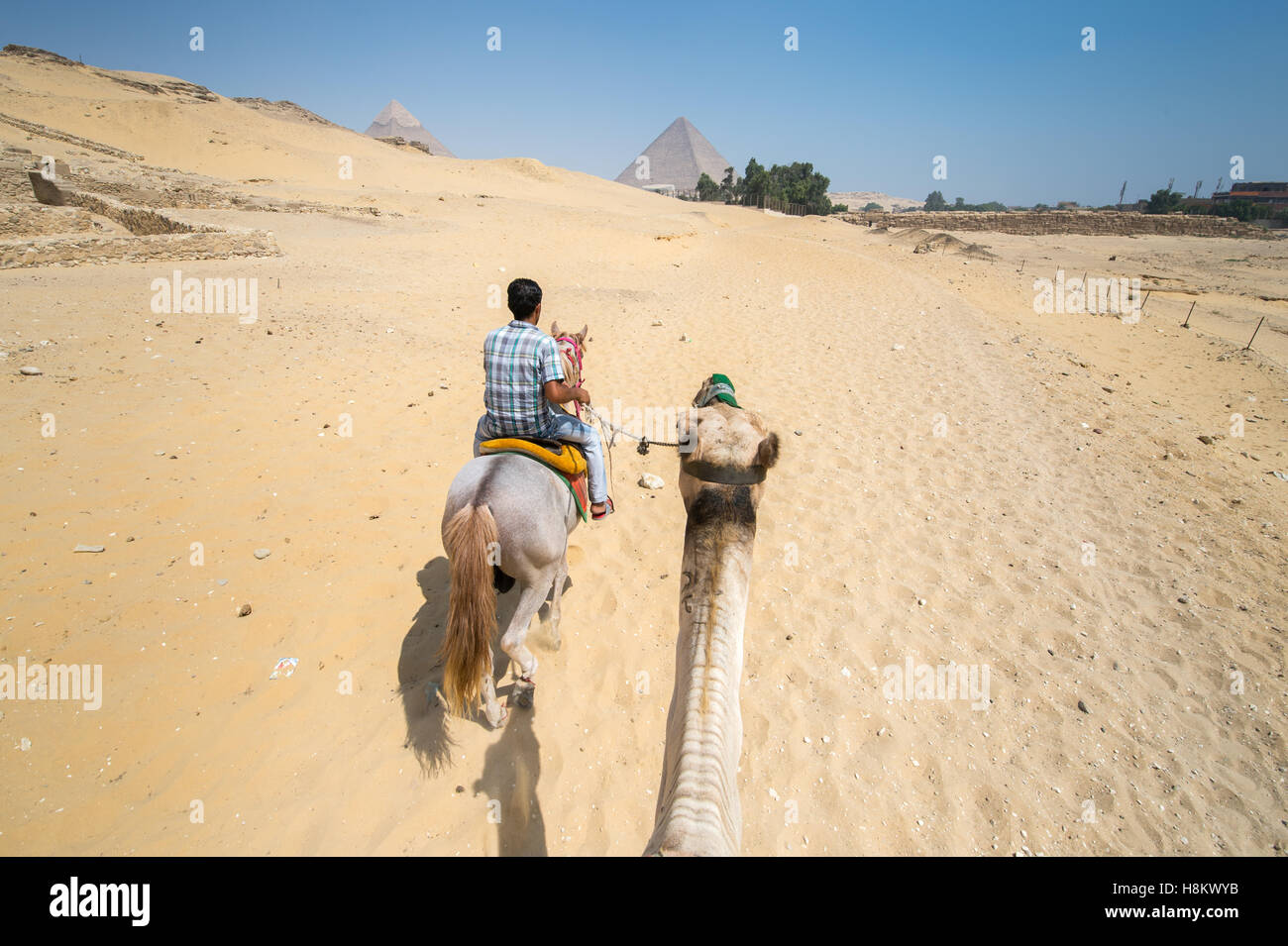 Camel riding at the pyramids hi-res stock photography and images - Alamy