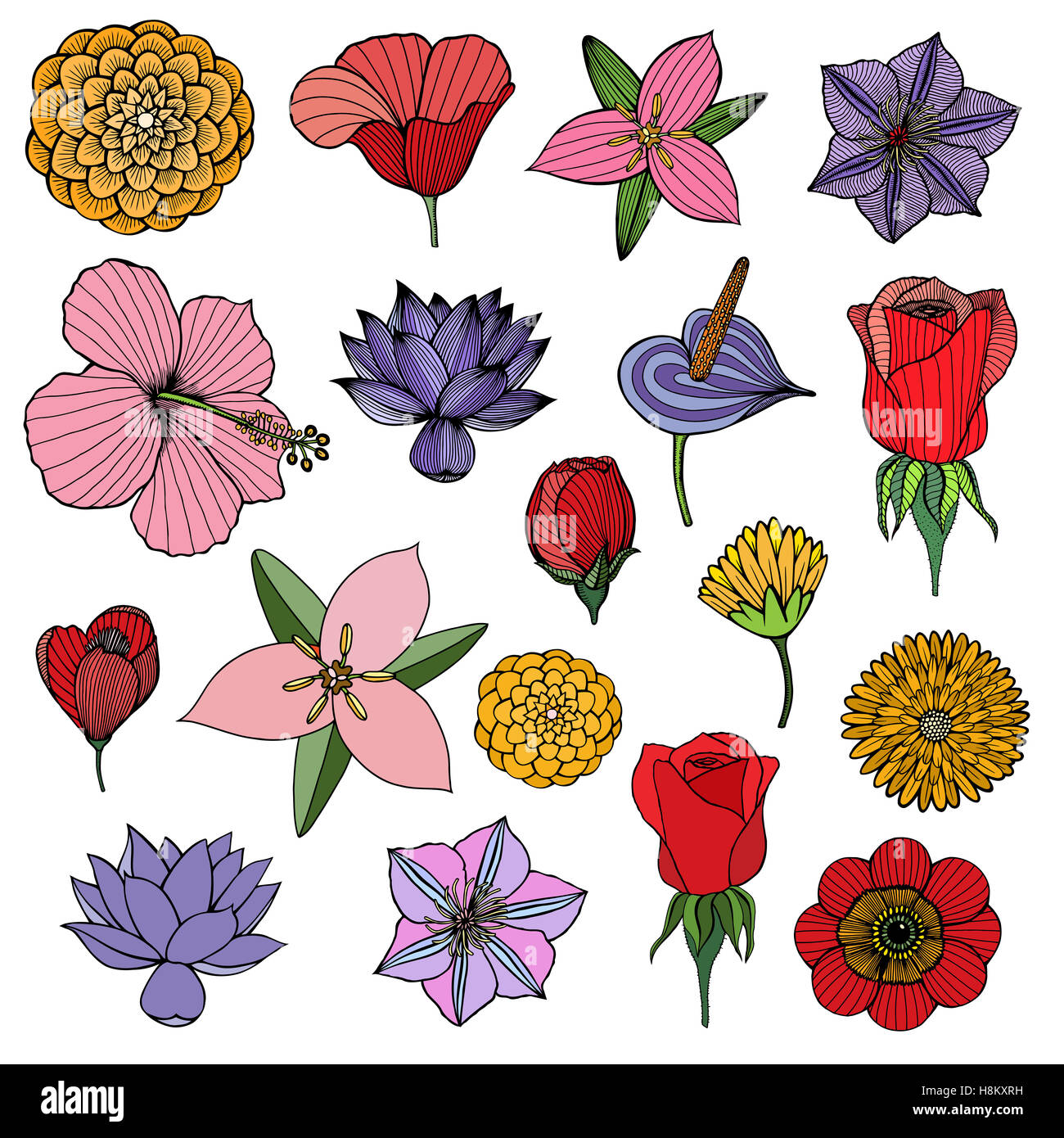 Spring Flower Set Stock Photo - Alamy