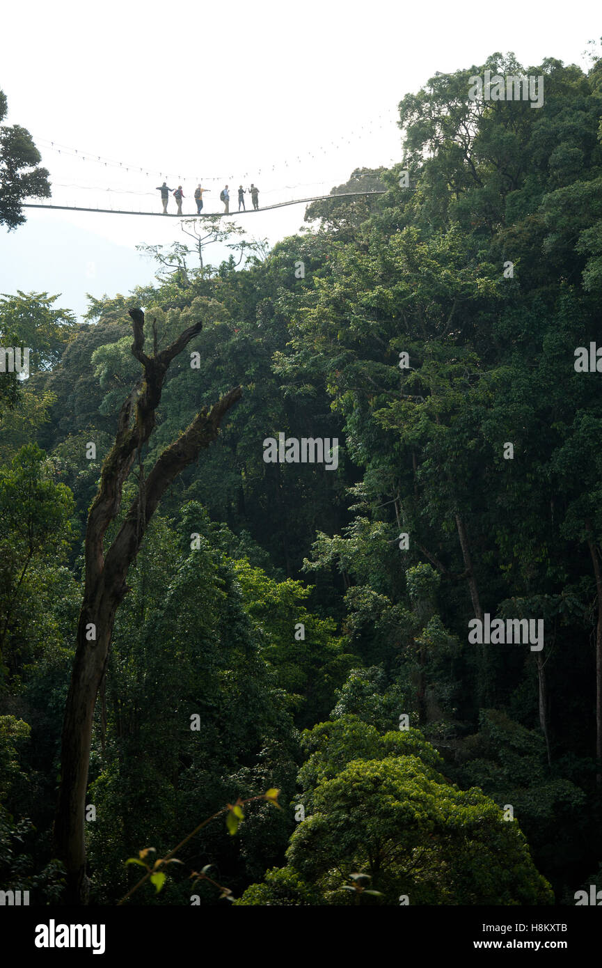 Aerial boardwalk hi-res stock photography and images - Alamy