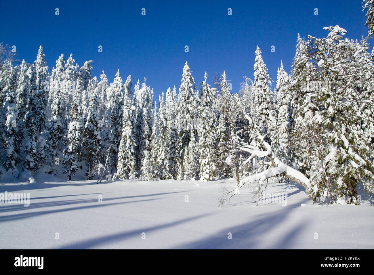 Vuokatti sotkamo finland hi-res stock photography and images - Alamy
