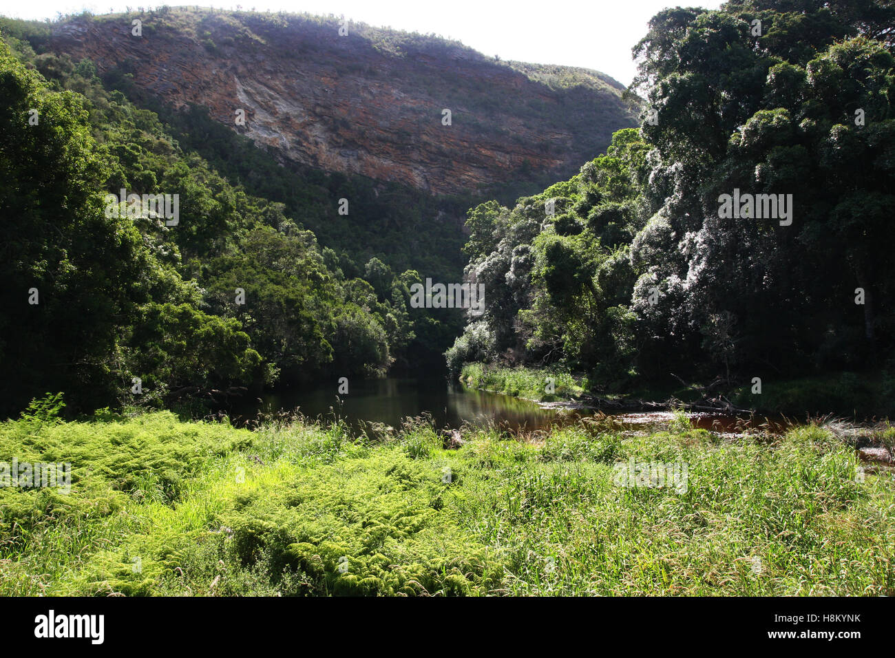 nature valley park in south africa Stock Photo - Alamy