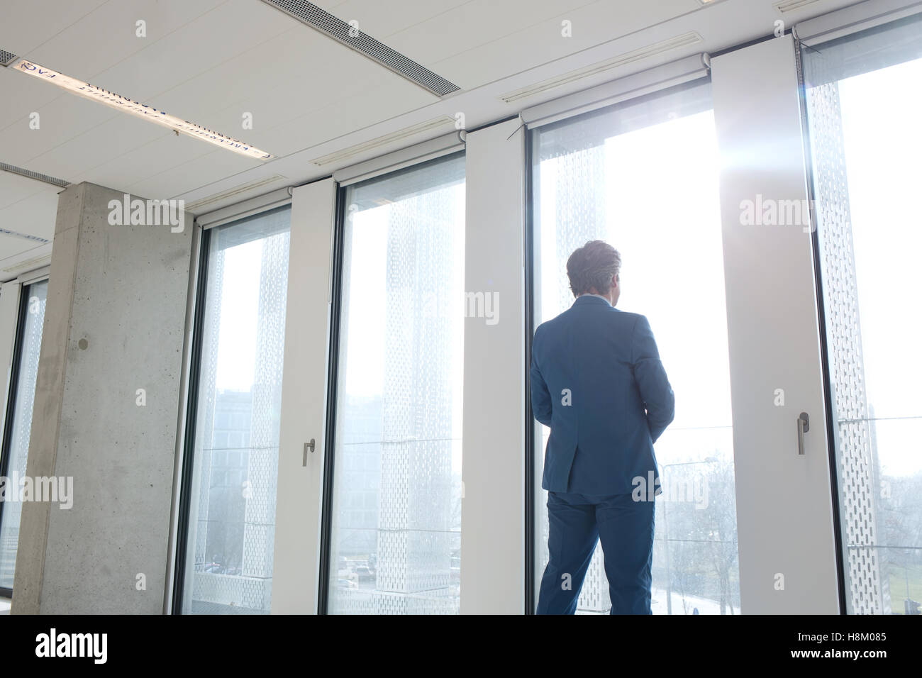 Rear view of mature businessman looking through office window Stock ...