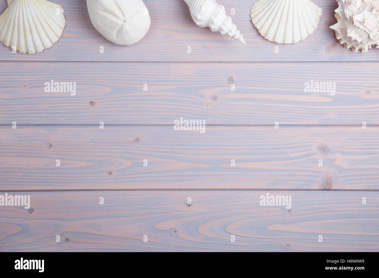 overhead of a collection of shells on wood top Stock Photo - Alamy