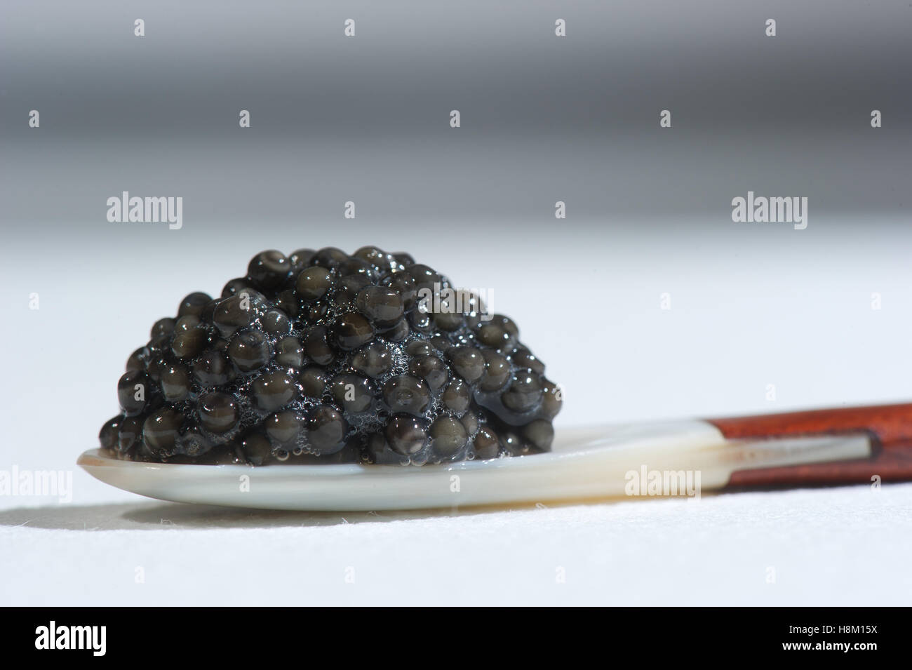 Fish's eggs in a spoon, Estugeon eggs, Europe Stock Photo - Alamy