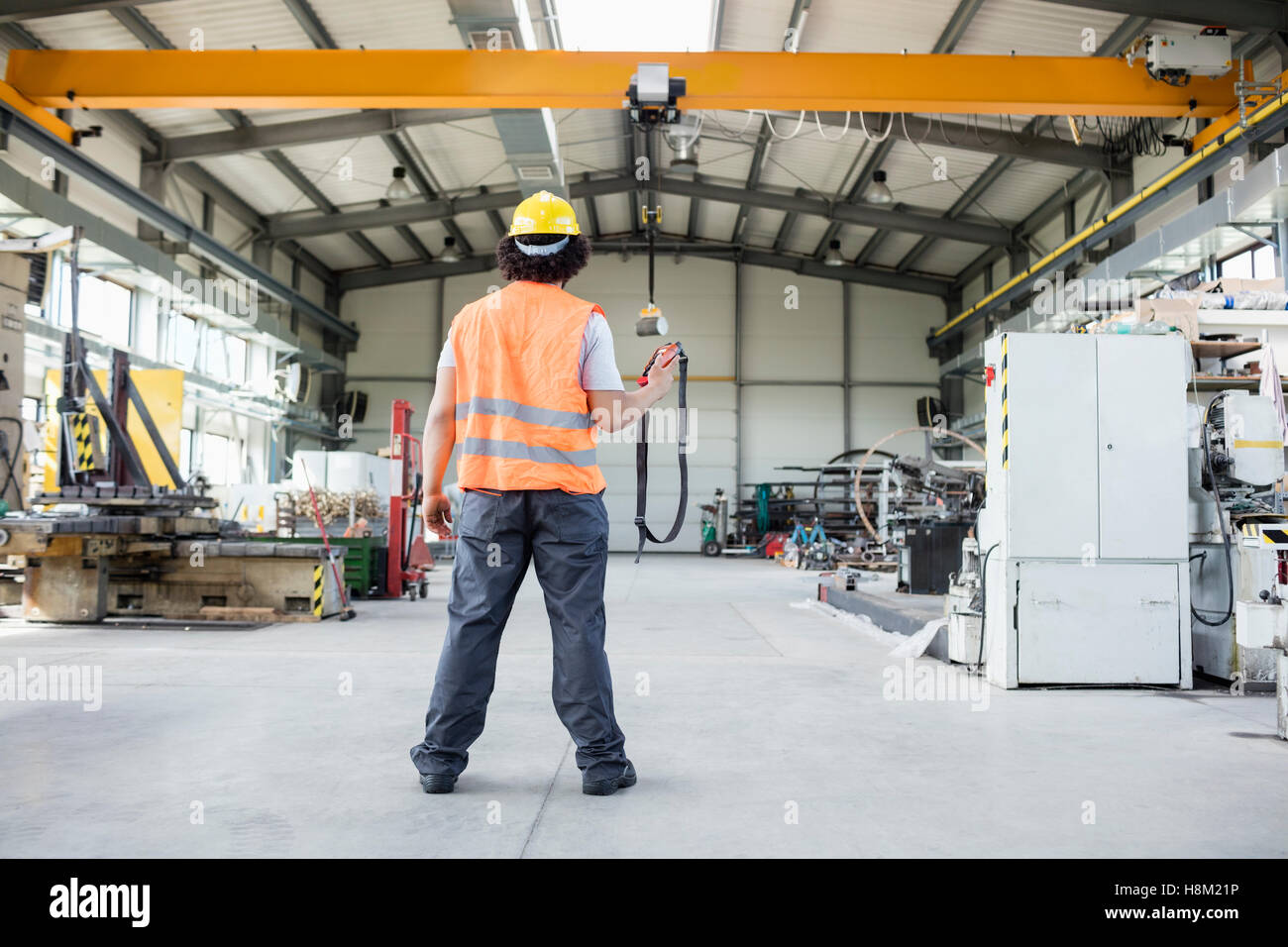 Crane with young hi-res stock photography and images - Alamy