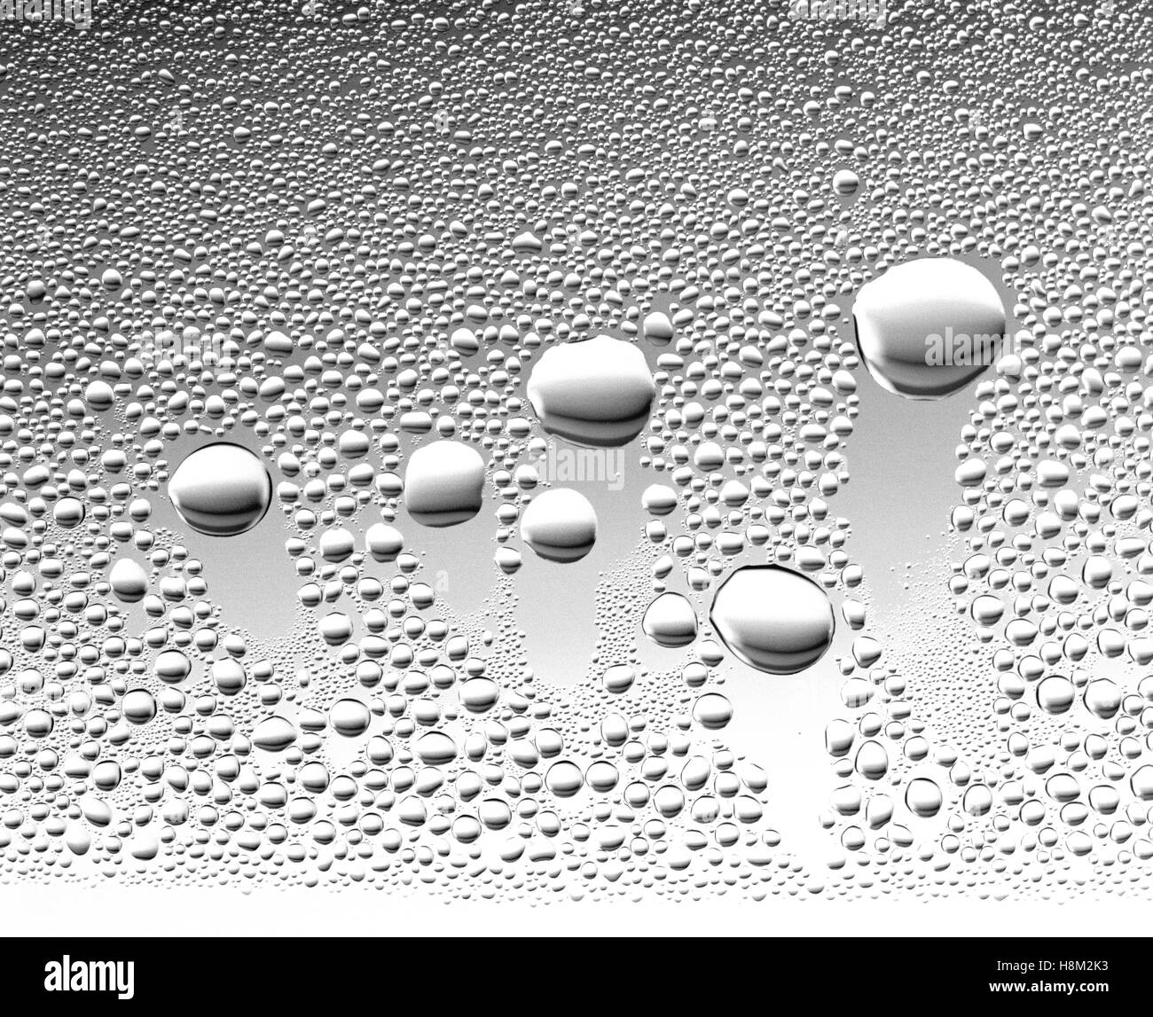 Droplet moisture hi-res stock photography and images - Alamy