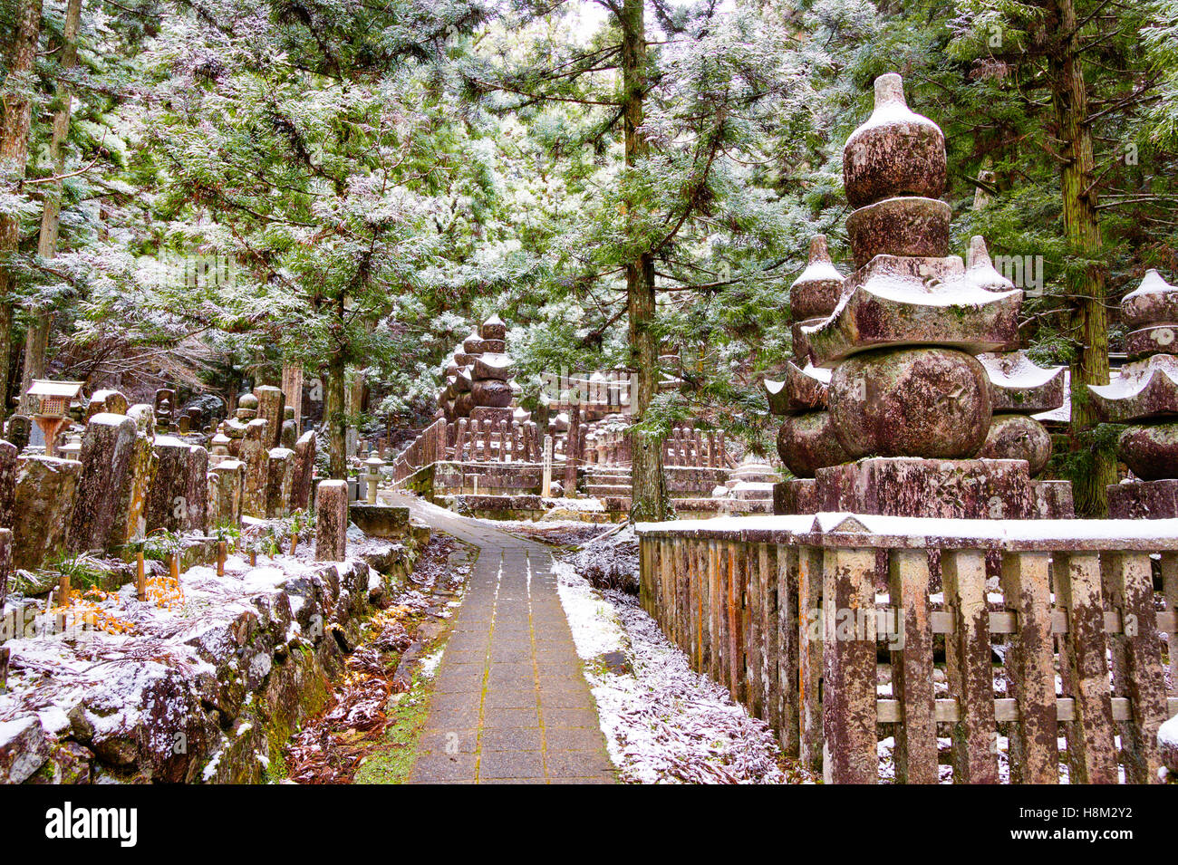 Koyasan, famous Okunoin cemetery, main paved path leading through tall ...