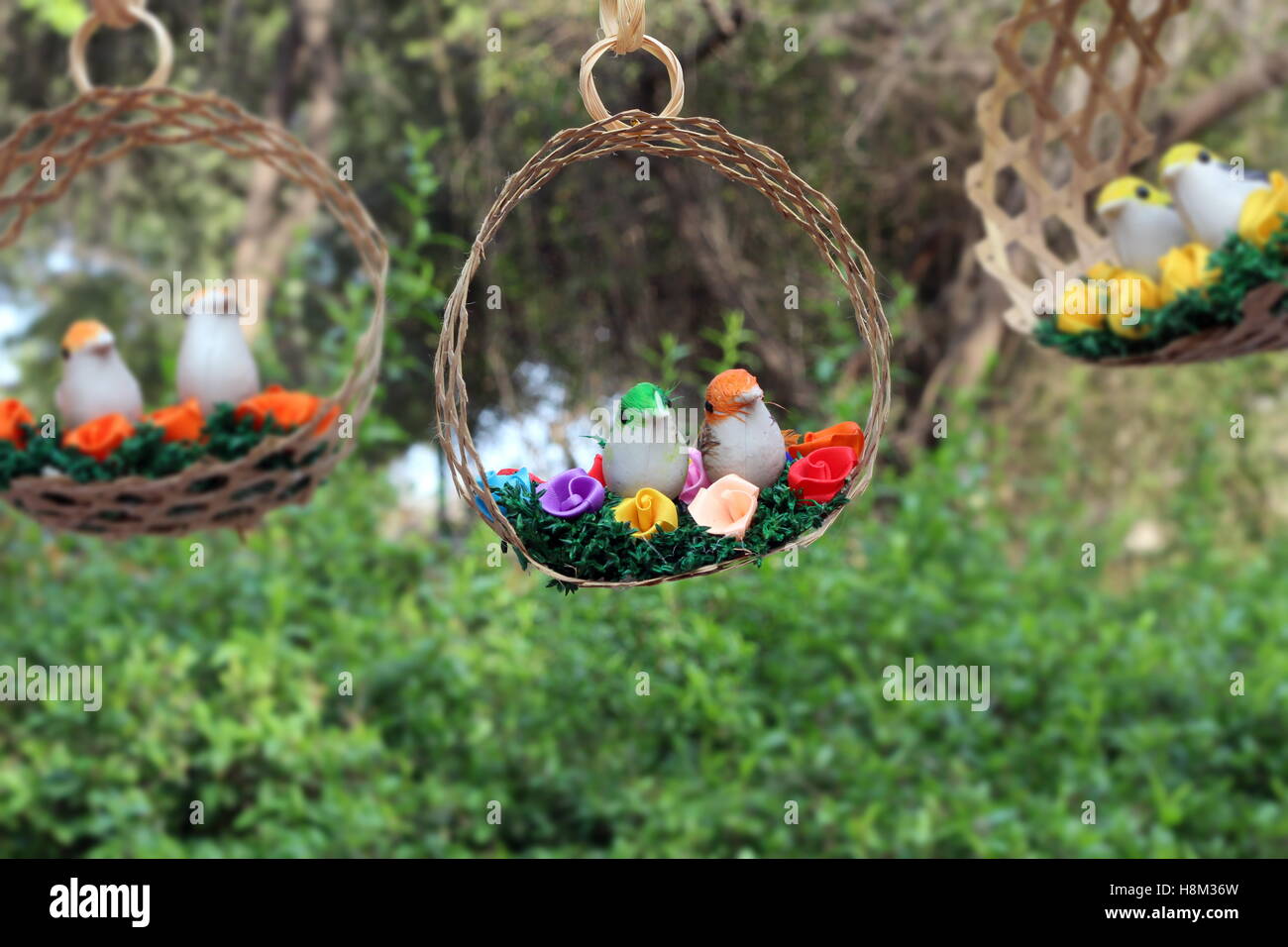 Natural nature nest object season hi-res stock photography and images ...