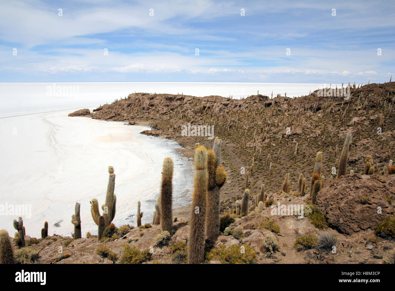 Isla Tequila, Salar de Uyuni, Bolivia Stock Photo - Alamy