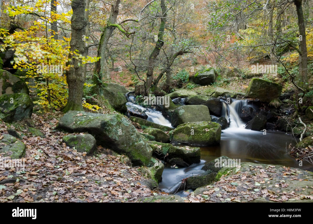 Burbage Brook flows down the rocky river valley of Padley Gorge on the ...