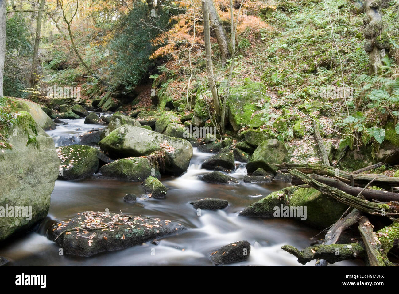 Burbage Brook flows down the rocky river valley of Padley Gorge on the ...