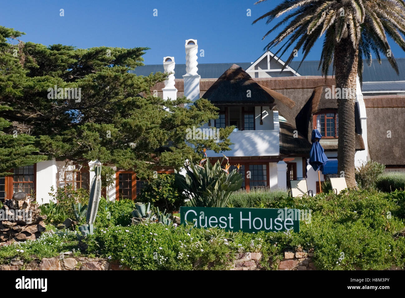 hermanus during the season of whale watching Stock Photo - Alamy