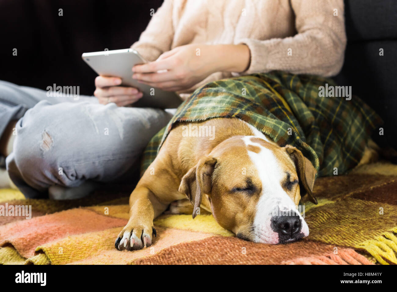 Sleepy human hi-res stock photography and images - Alamy