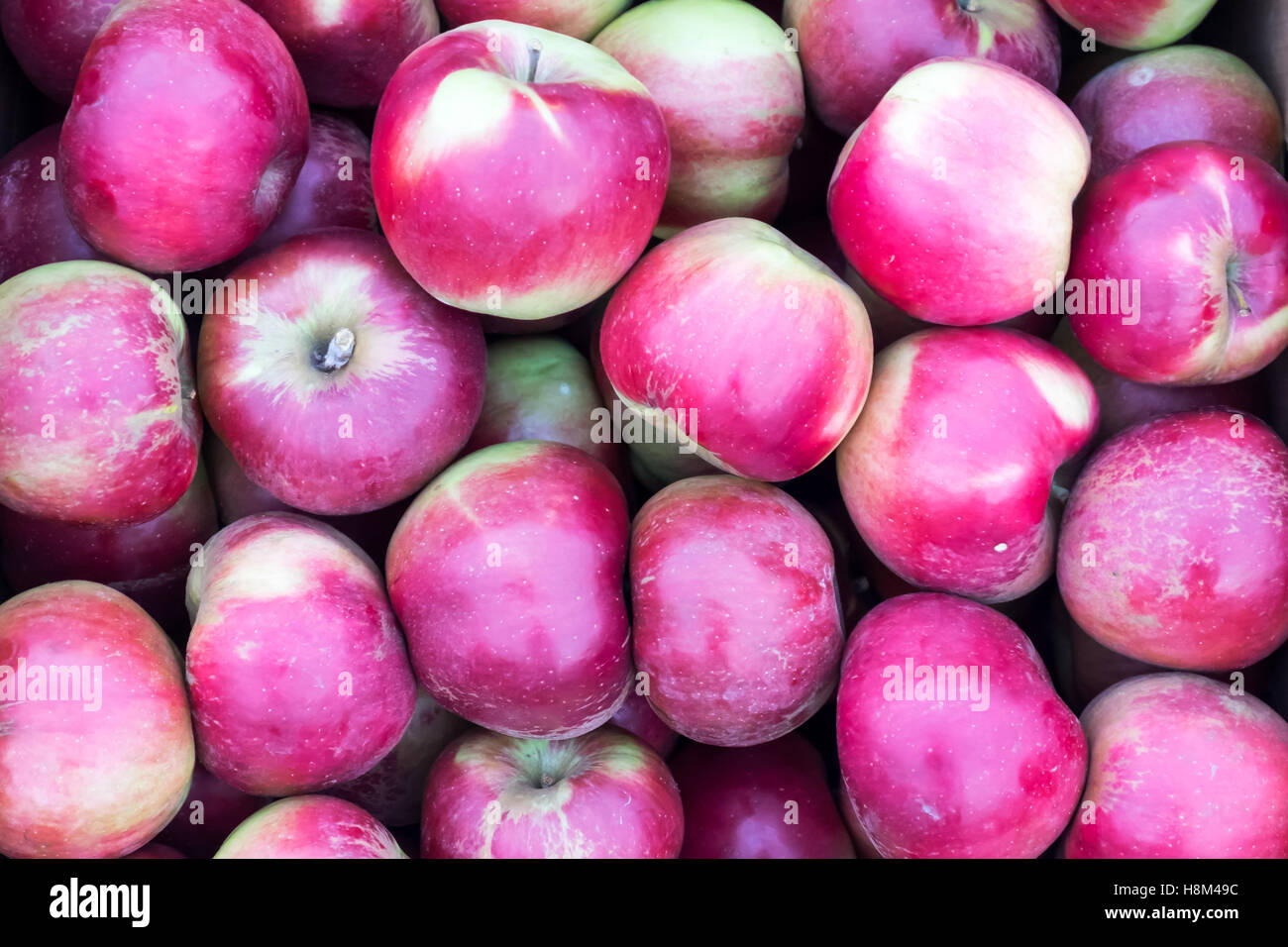 Natural apples background Stock Photo - Alamy