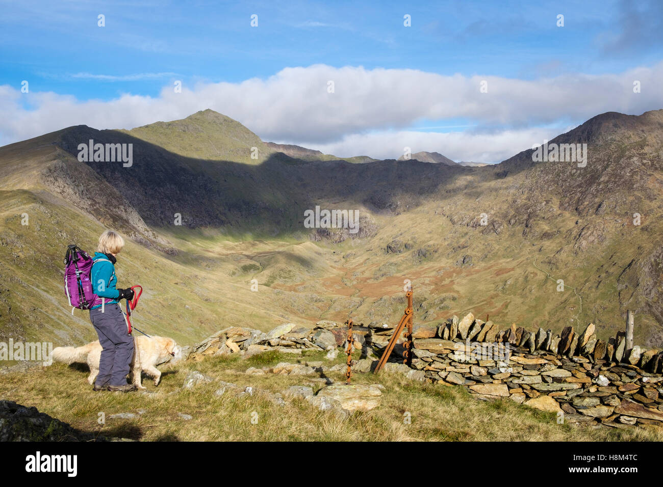 Hiker with dog looking at view across Cwm Llan to Mount Snowdon from Yr ...
