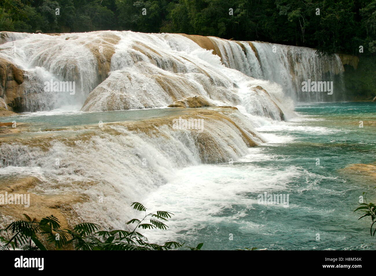 Cataratas De Agua Azul High Resolution Stock Photography and Images - Alamy