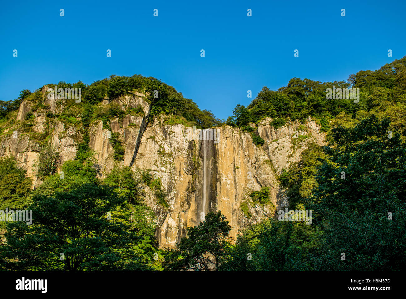 Latoon High Resolution Stock Photography and Images - Alamy
