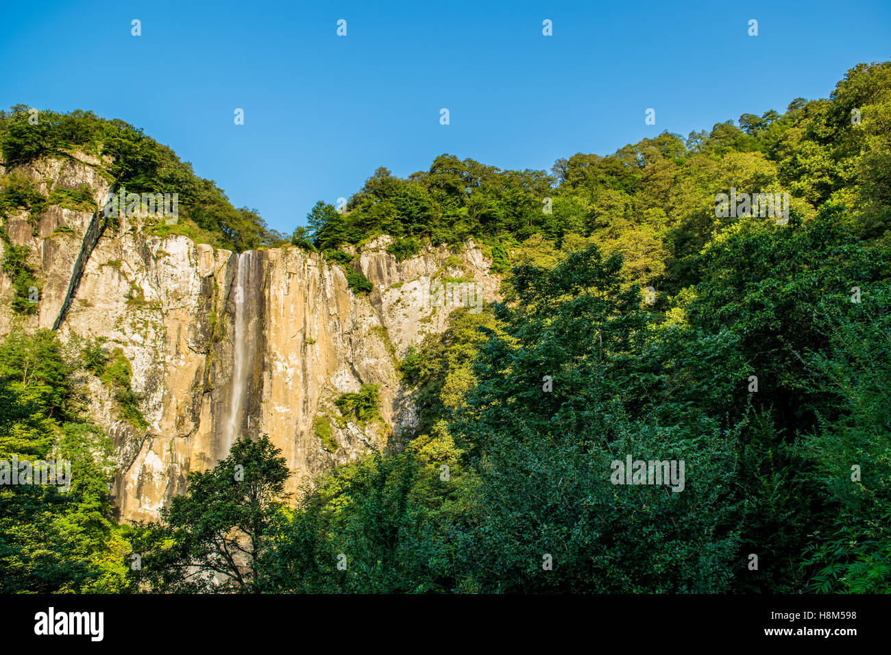 Latoon High Resolution Stock Photography and Images - Alamy