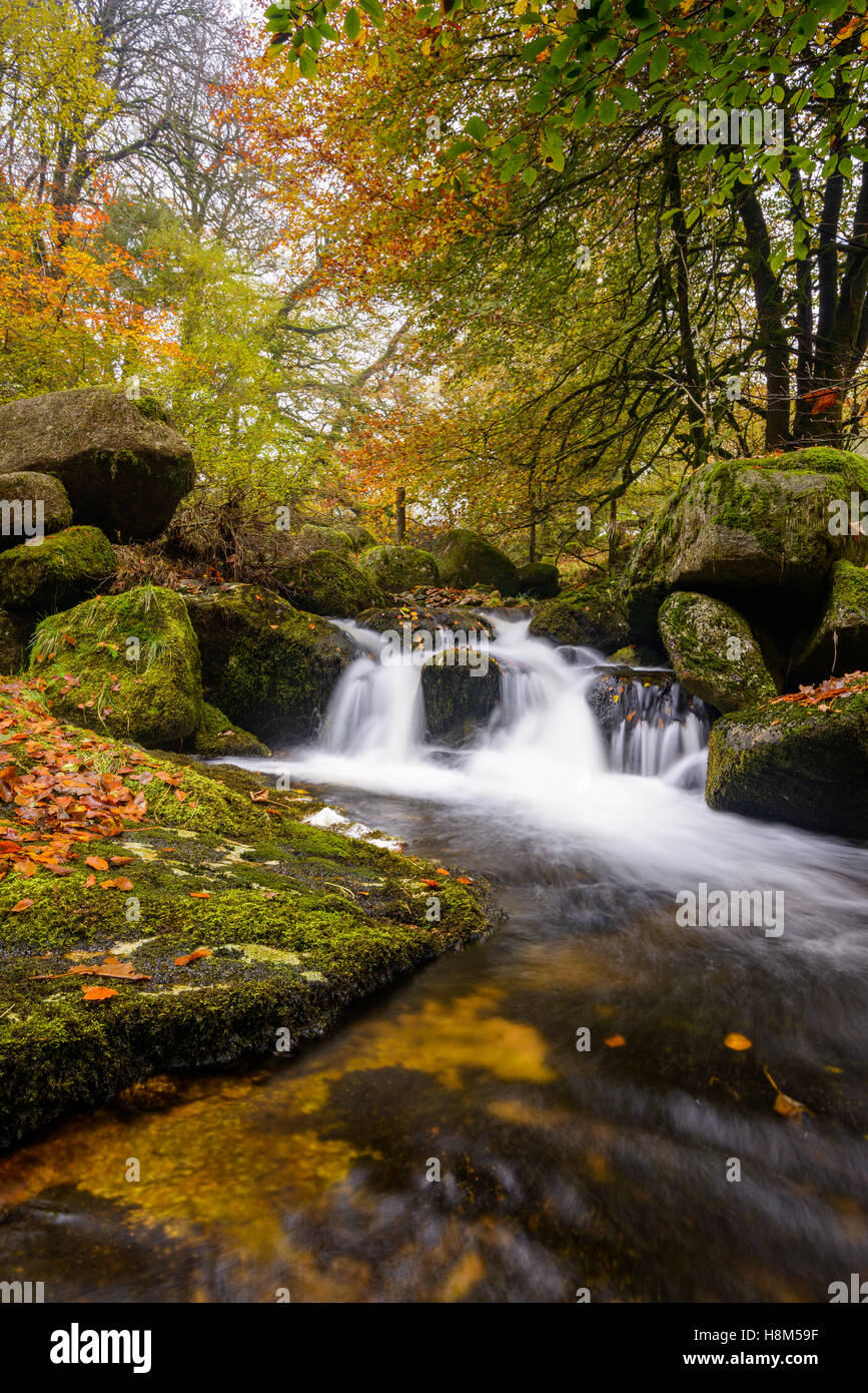 Moorland stream and waterfall in Autumn, Dartmoor, UK Stock Photo - Alamy