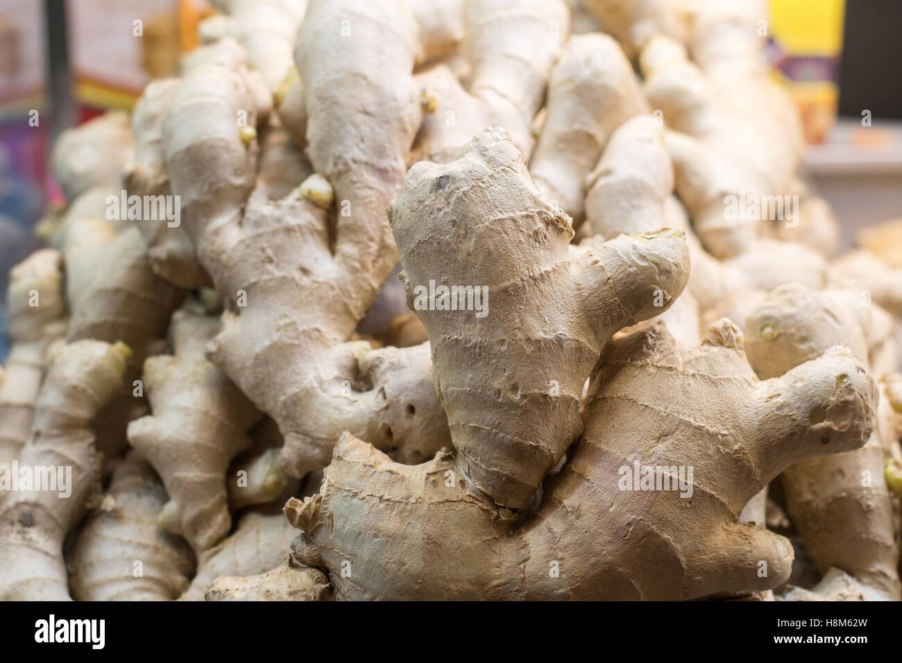 Beijing, China - Ginger roots for sale at the Donghuamen Snack Night ...