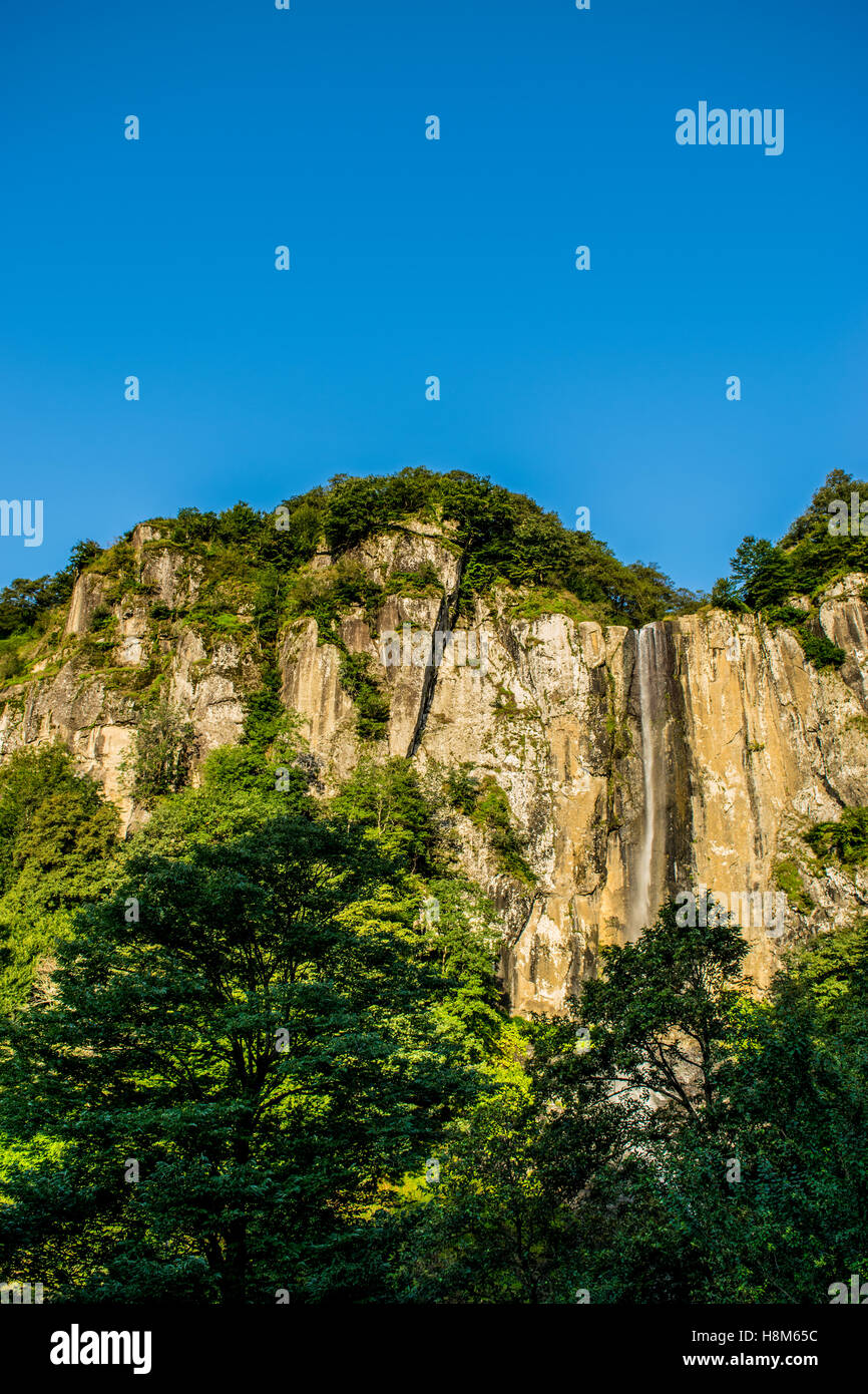 Latoon High Resolution Stock Photography and Images - Alamy