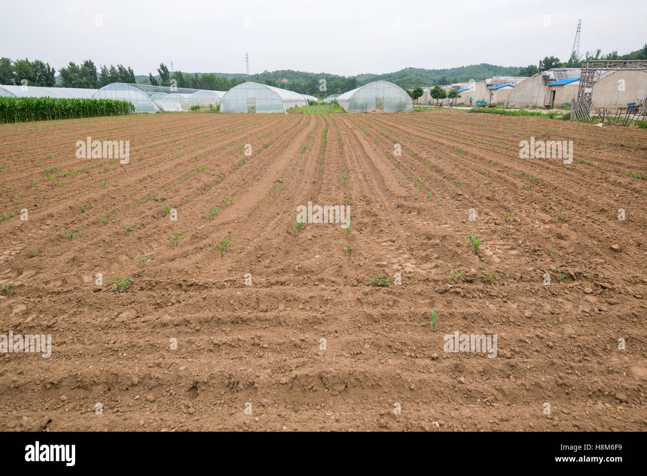 Beijing, China - A dry, tilled field on a farm near Beijing, China ...