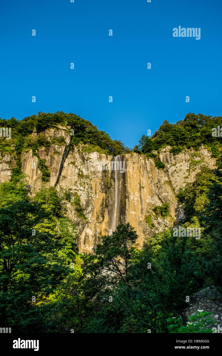 Latoon hi-res stock photography and images - Alamy