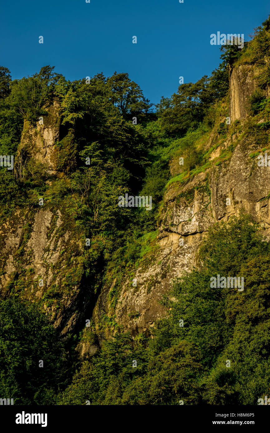 Latoon High Resolution Stock Photography and Images - Alamy