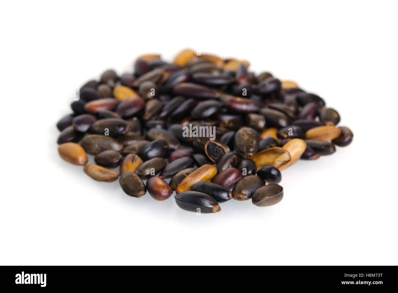 Heap of custard apple seed or kernel isolated on white (Also named as ...