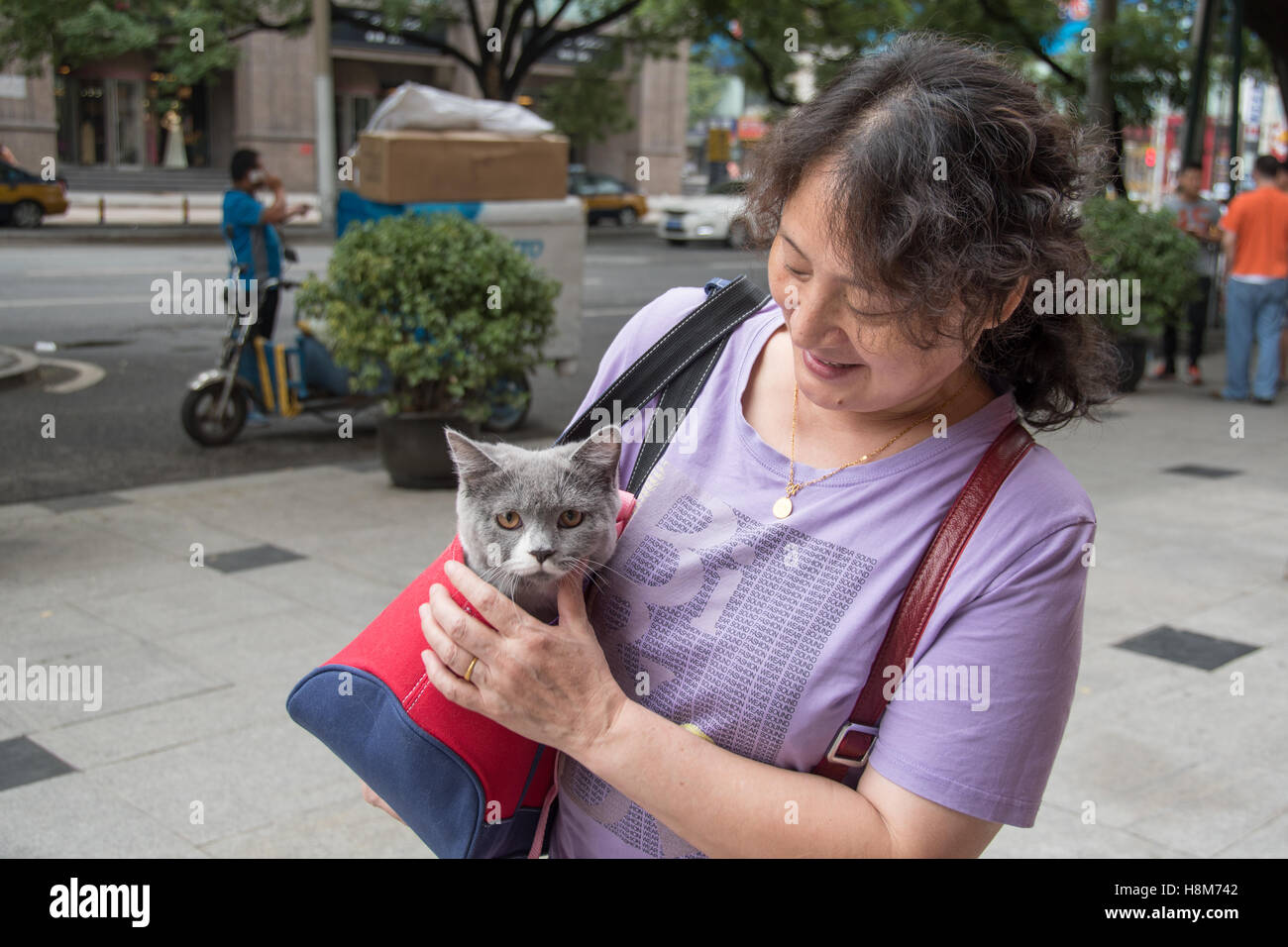 Beijing, China - Woman with a cat in her purse in a Hutong located in ...