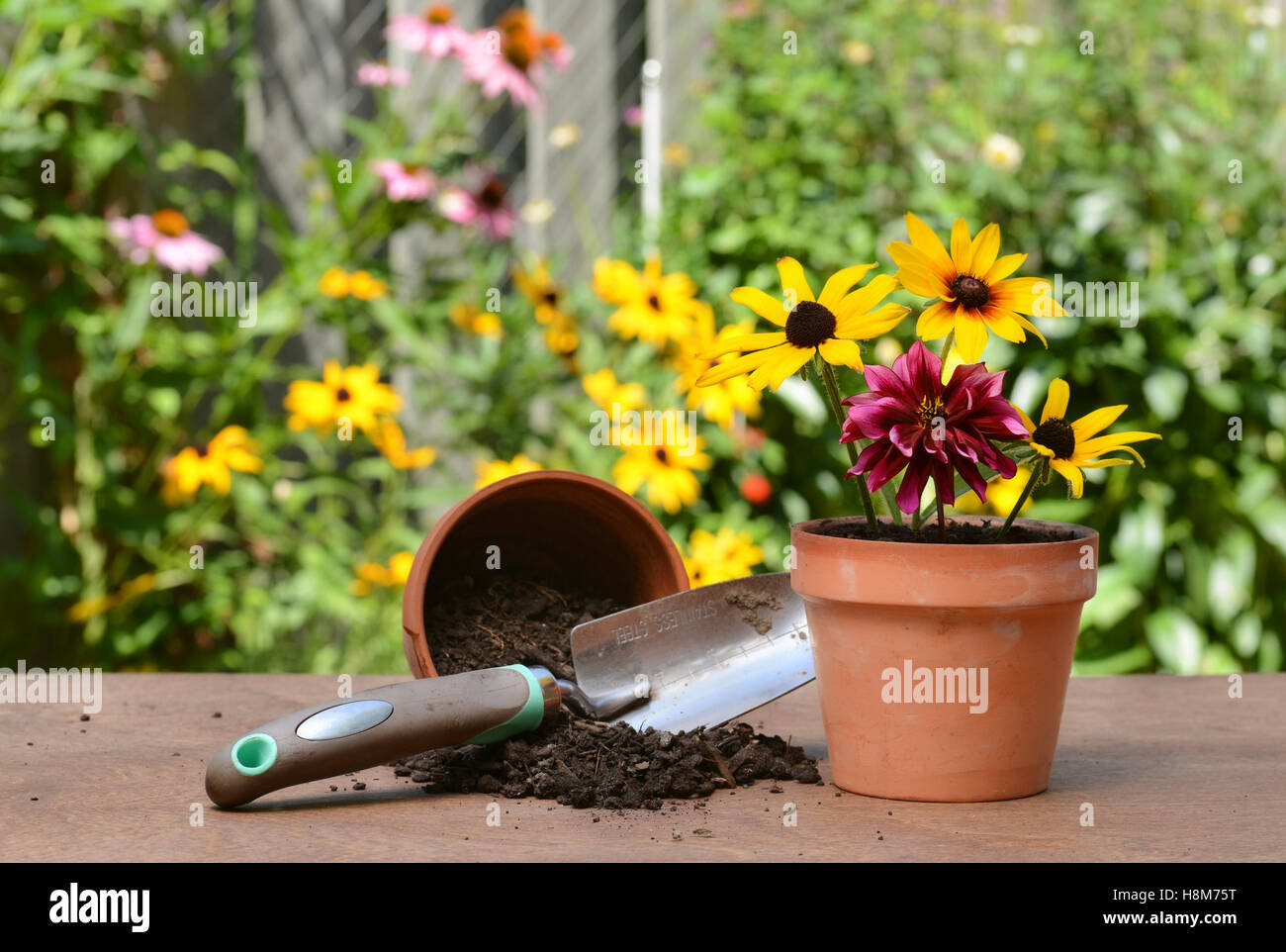 gardeners table with flowers Stock Photo - Alamy