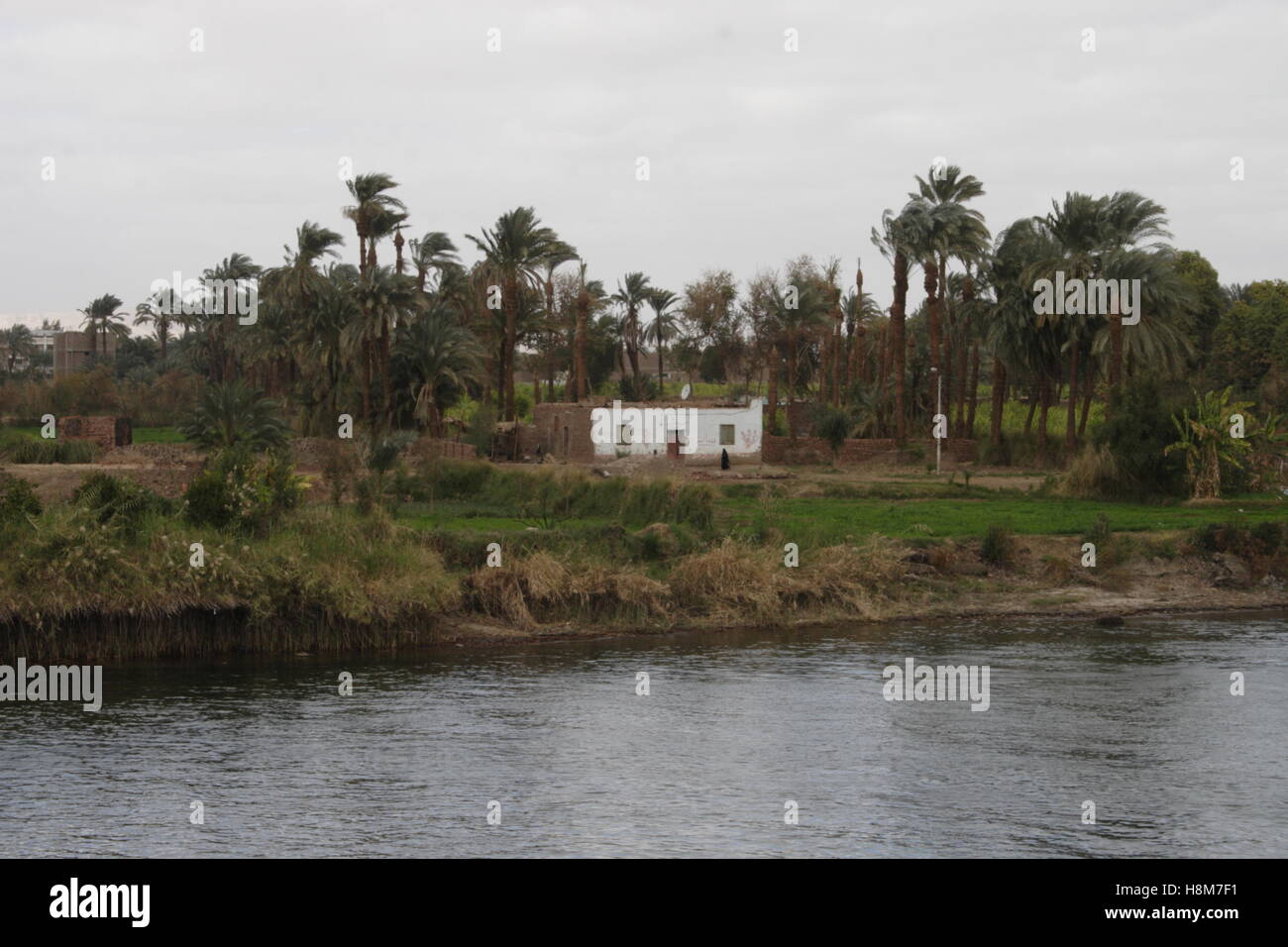 River Nile Bank with houses Stock Photo - Alamy