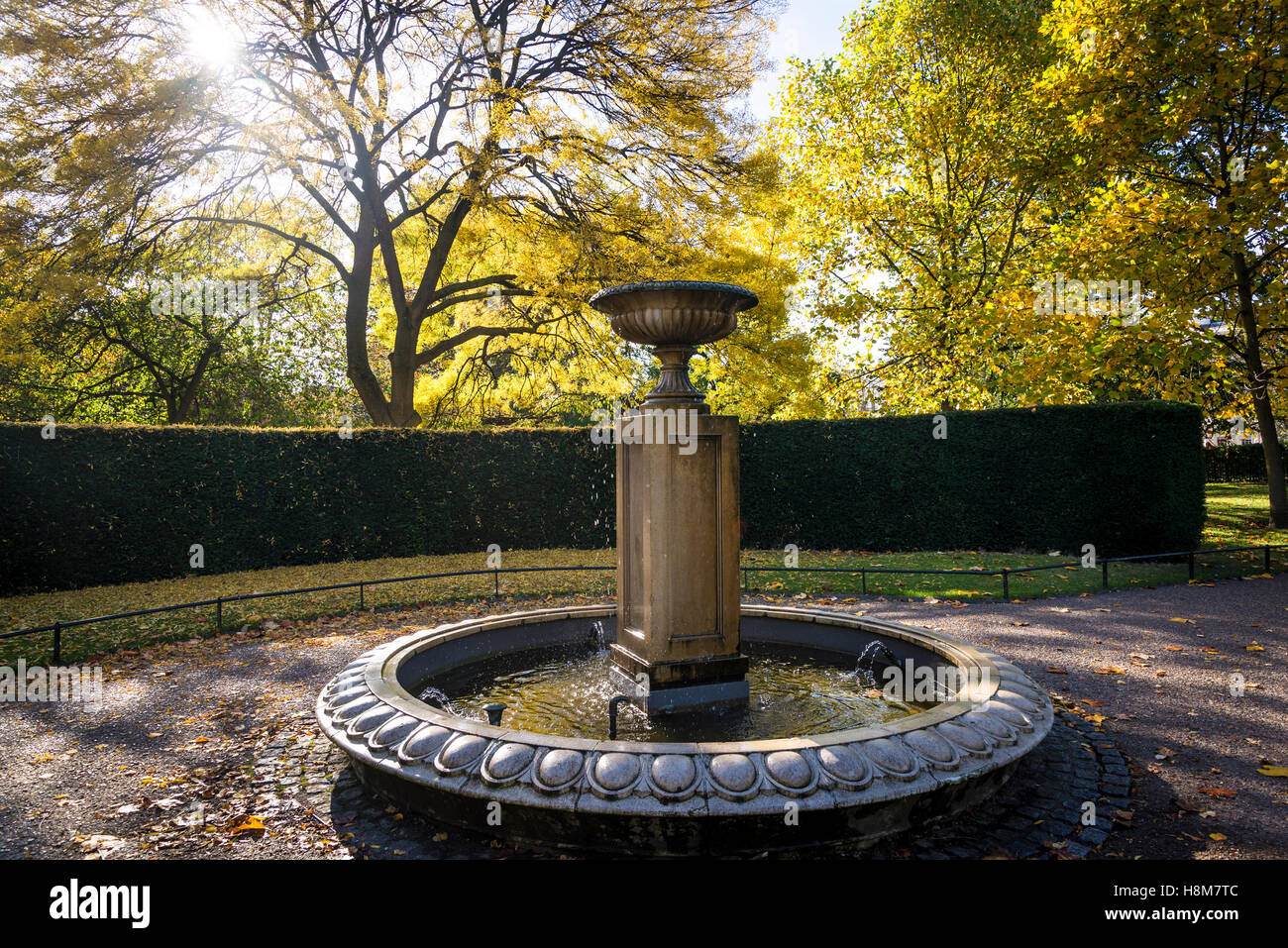 Regent's Park in autumn, London, UK Stock Photo - Alamy
