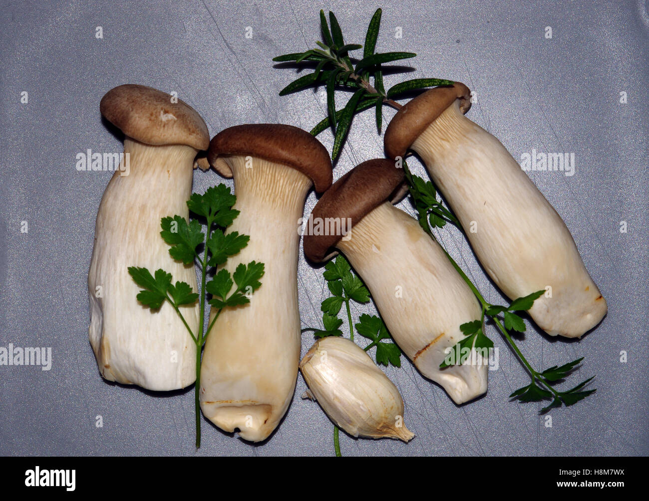 Close-up Mushroom Pleurotus Eryngii Stock Photo - Alamy