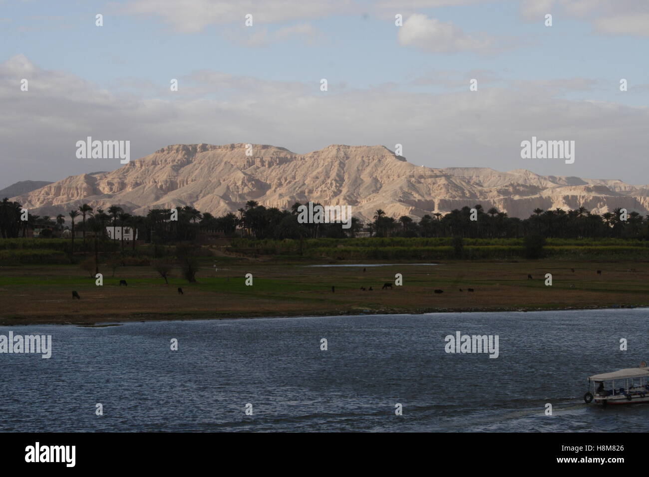 General View of the river Nile Stock Photo - Alamy