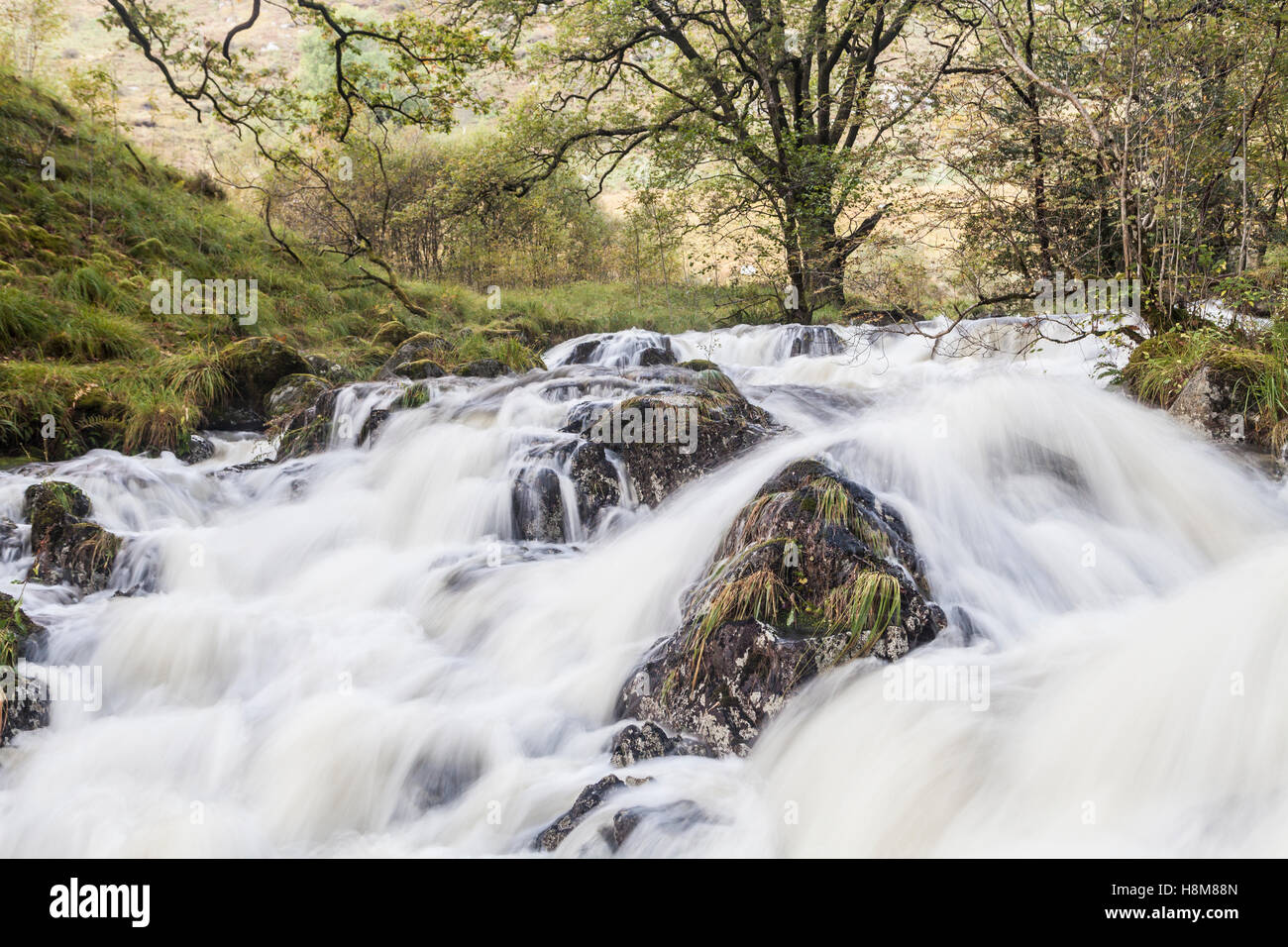 Galloway forest park scotland hi-res stock photography and images - Alamy