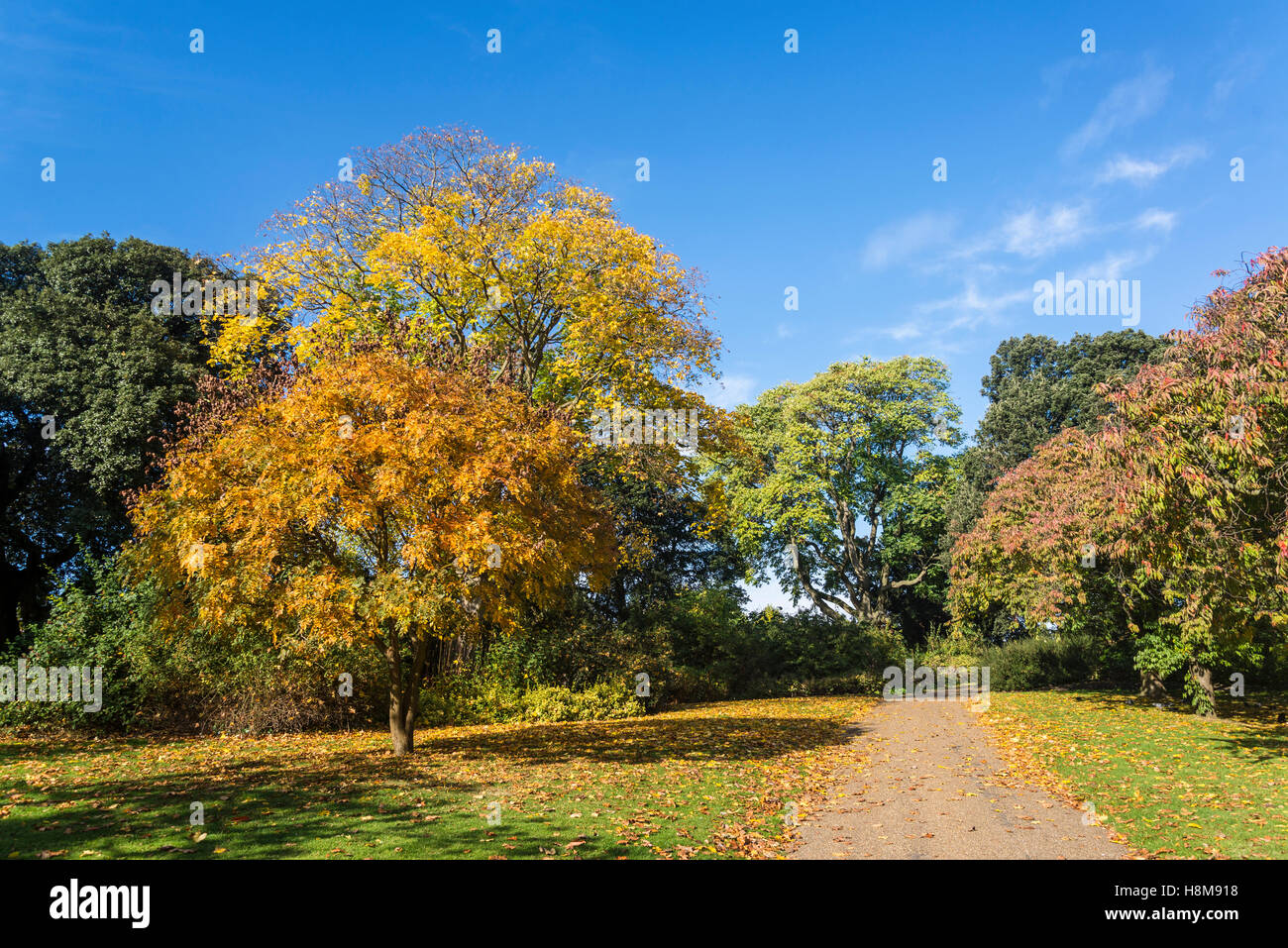 Regents park london october hi-res stock photography and images - Alamy
