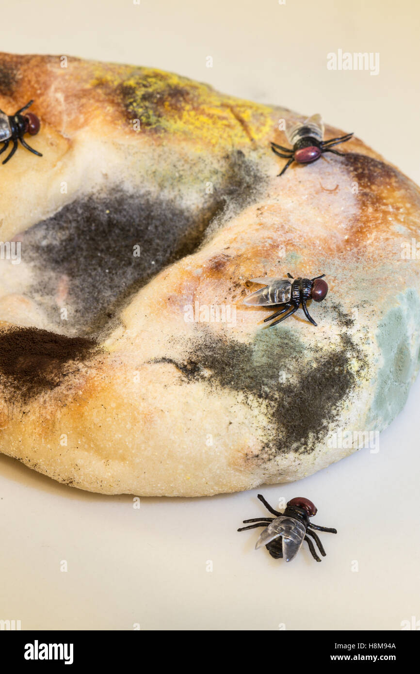 Mould on food Stock Photo - Alamy